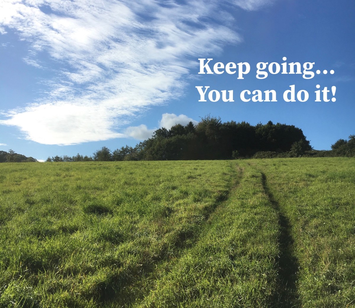 Wellbeing notes: Power of perseverance | Suzanne Askham